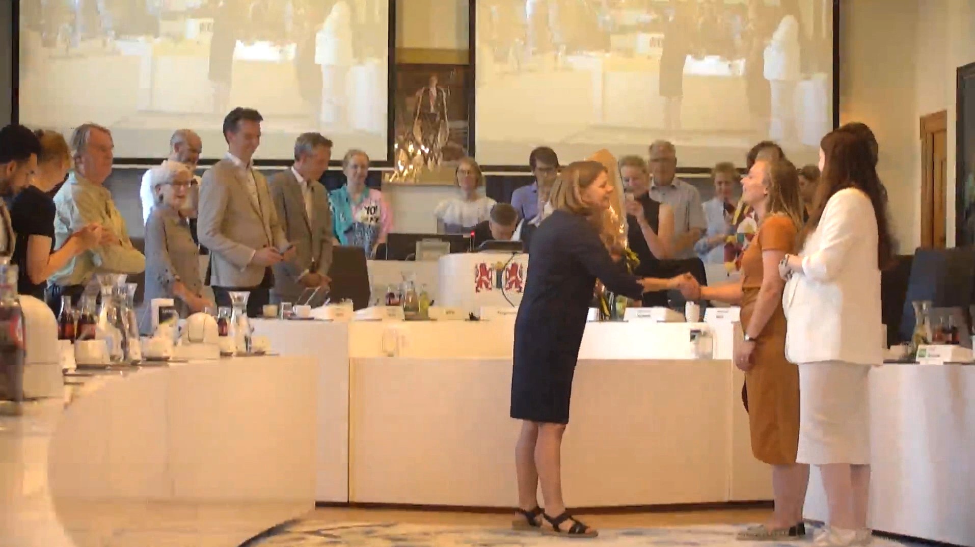 Raad wil lobby voor vuurwerkverbod, maar geen burgerberaad - RIS Delft